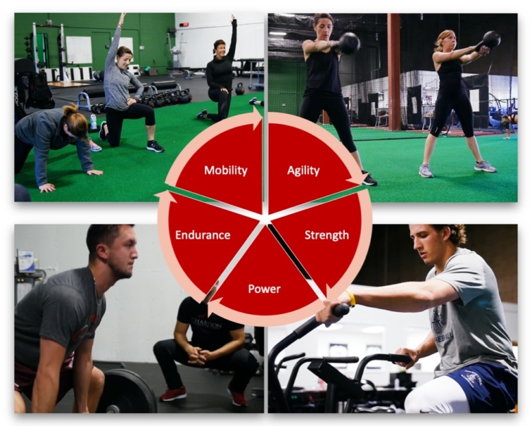 Champion Online Training - Champion Physical Therapy and Performance